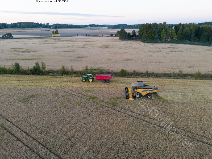 Kuva: Puintihommia - leikkuupuimuri ilmakuva ilmavalokuva puintityöt ...