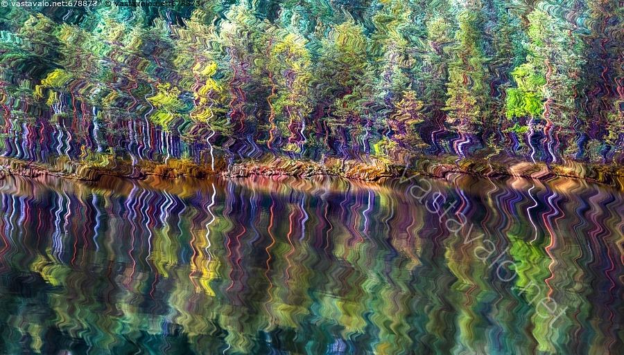 Kuva: Mutkikas satumetsä - metsä mutka mutkikas muoto muodot fantasia ...