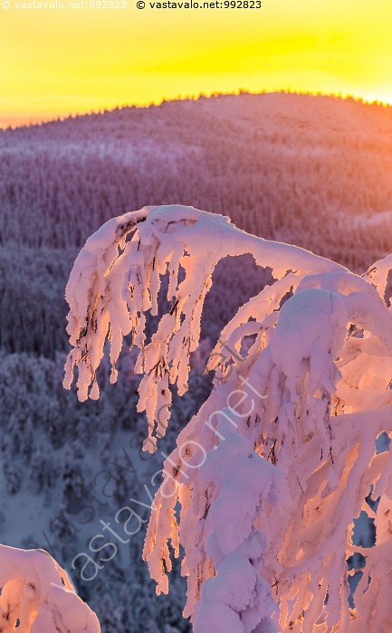 Kuva: Joulunaika - talvinen jouluinen vaaramaisema tunturimaisema ...