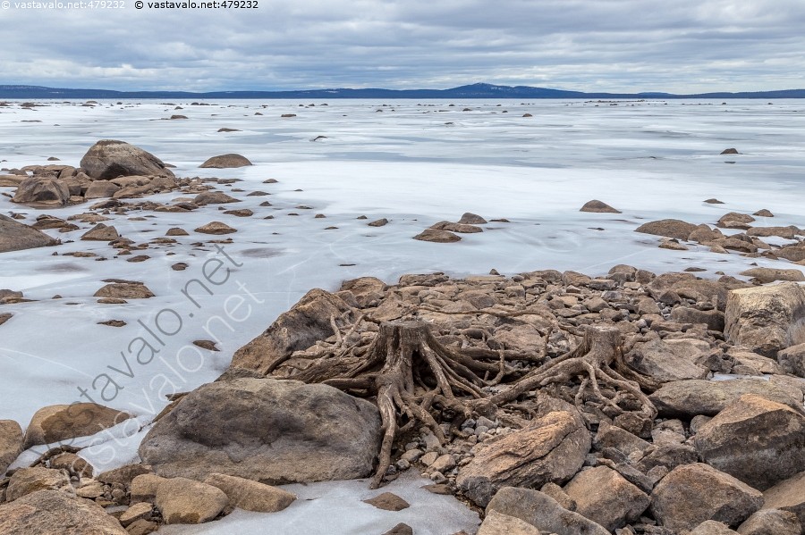 Kuva: Ranta kuivilla - Kostonjärvi Taivalkoski säännöstelyjärvi ...