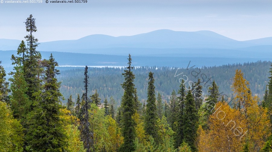 Kuva: Pallas Olokselta - Pallas Pallastunturi Pallastunturit Torasjärvi ...