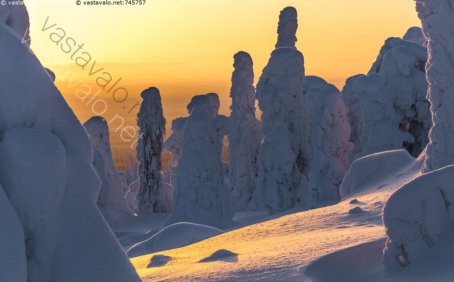 Kuva: Iivaaralta länteen - Iivaara Kuusamo vaaramaisema vaara tykky ...