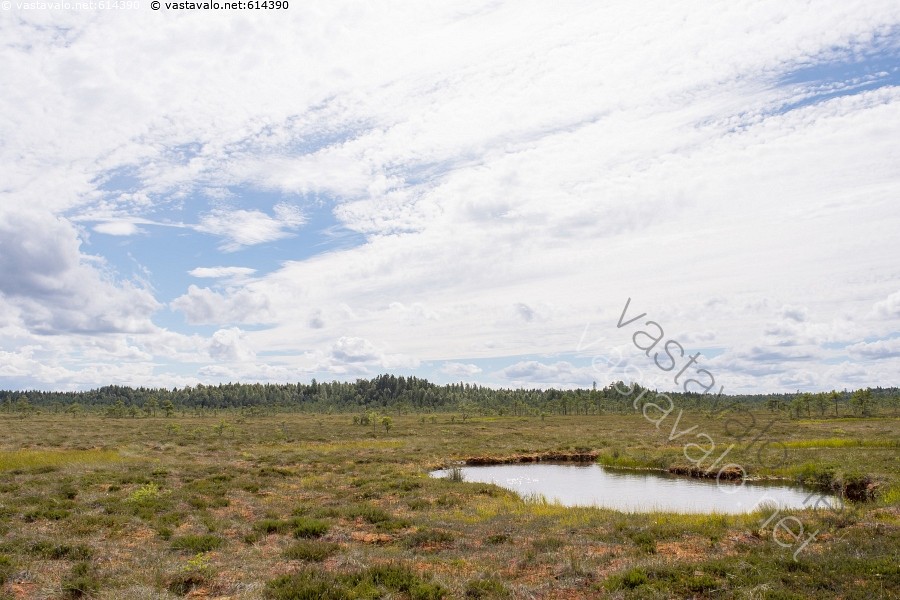 Kuva: Suolampi - suo neva Lastensuo soidensuojelualue lampi suolampi ...