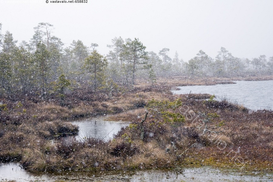 Kuva: Toukokuussa 2017 - lumisade lumi suo neva Isoneva ...