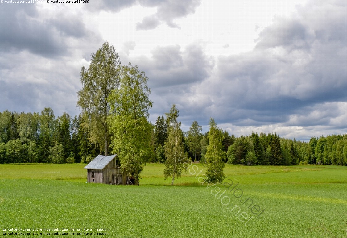 Kuva: Pelto ja lato - pelto lato maanviljely maatalous vilja viljapelto ...
