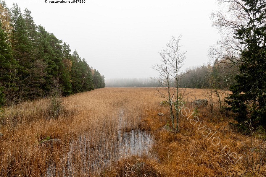 Kuva: Kluuvijärvi - kluuvijärvi kluuvi glojärvi järvi ruovikko ...
