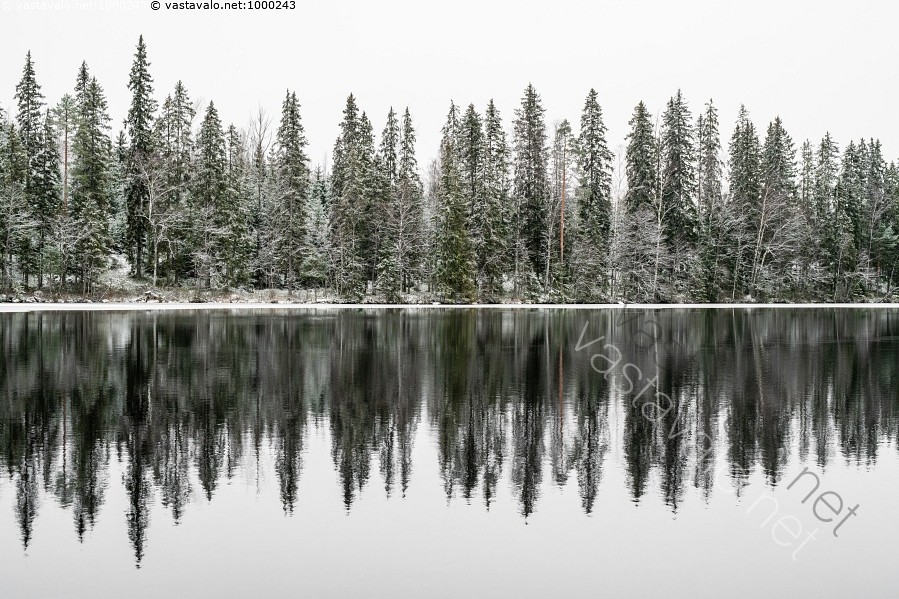 Kuva: Talvinen ranta - Salmus järvi järvimaisema maisema talvi ...