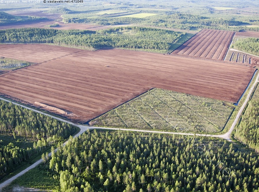 Kuva: Turvesuo - turvesuo turve turvetta polttoturve energiaturve ...