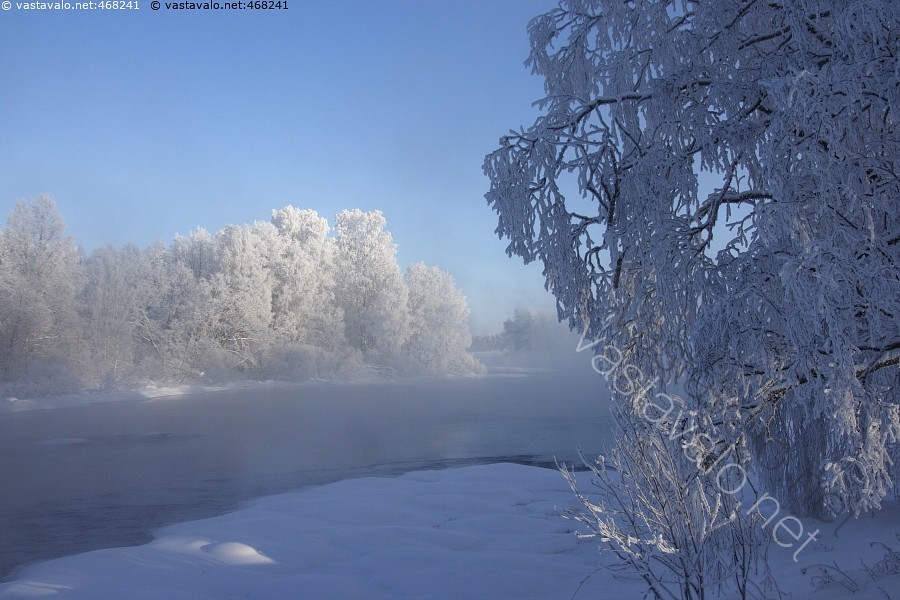 Kuva: Talvimaisema Kuhmosta - maisema talvi joki pakkanen vesihöyry ...