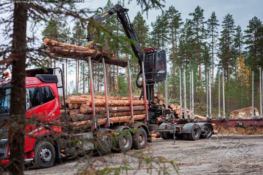Kuva: Tukkikuormaa tekemässä - puutavara-auto rekka-auto liikenne ...