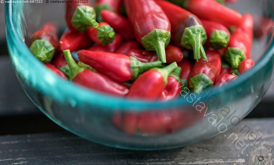 Kuva: Tuoreita ja tulisia - Capsicum annuum Apache F1 chili chilit ...