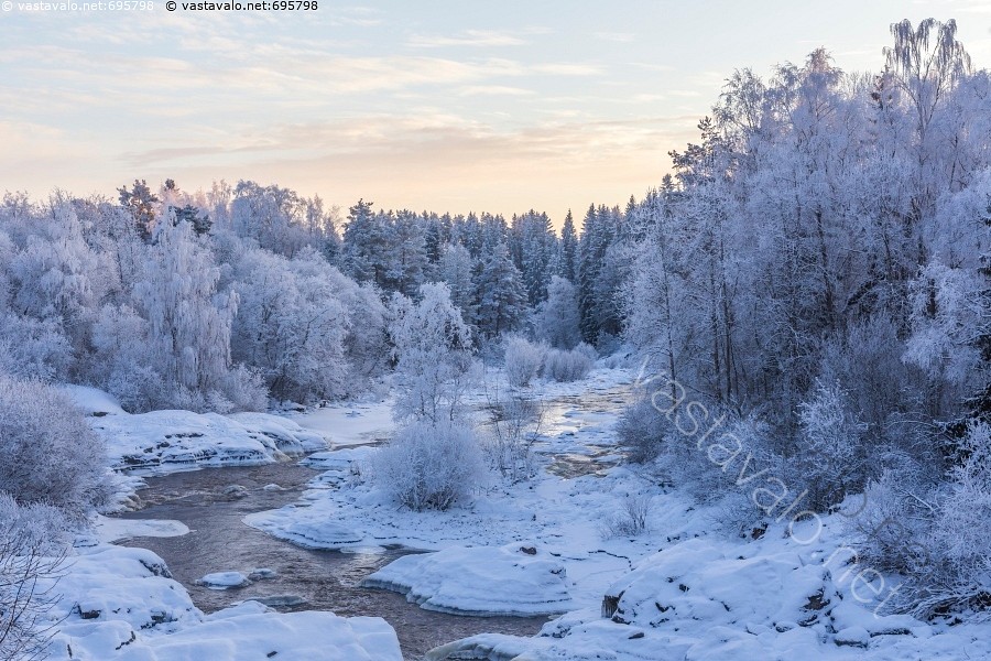 Kuva: Talvinen Nautelankoski - kuura koski luonto vesi kuuraiset oksat ...
