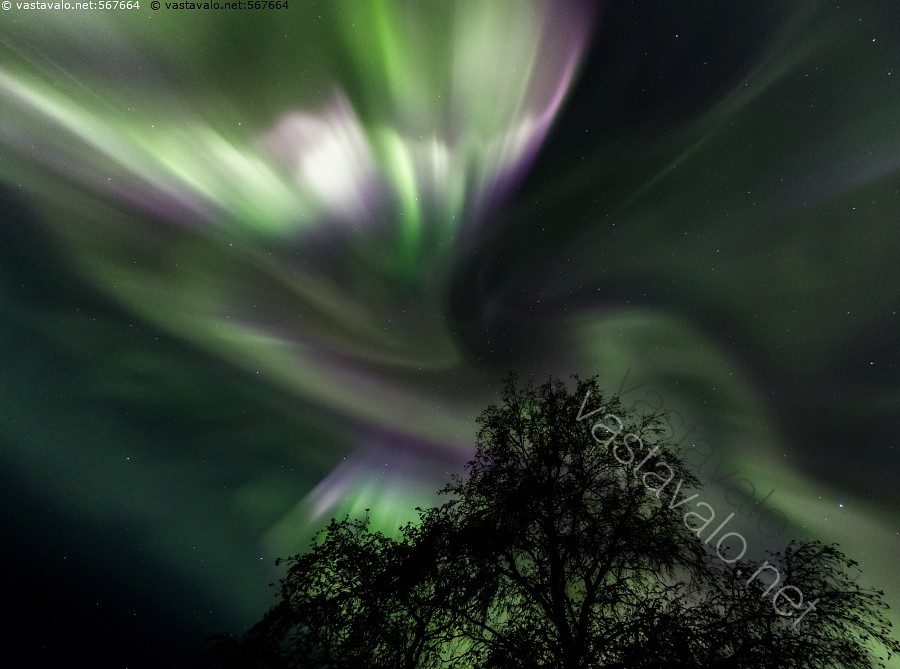 Kuva: Leimu - revontulet reposet korona taivas vihreä syaani revontuli ...