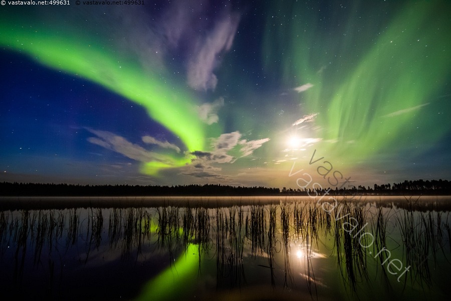 Kuva: Revontulet järvellä - revontulet kuu tähti tähdet järvi vesi ...