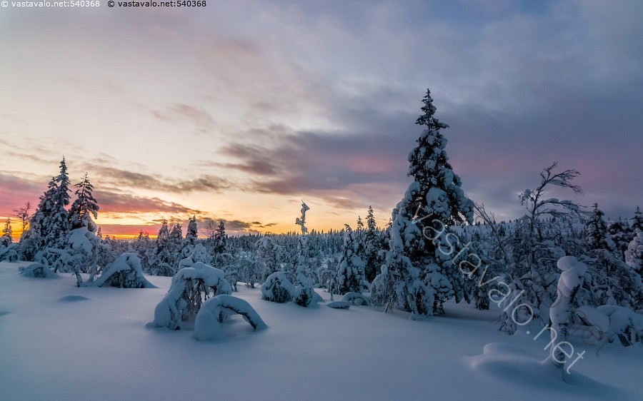 Kuva: Kaamosilta - kaamos Lappi ilta lumi luminen maisema talvi ...