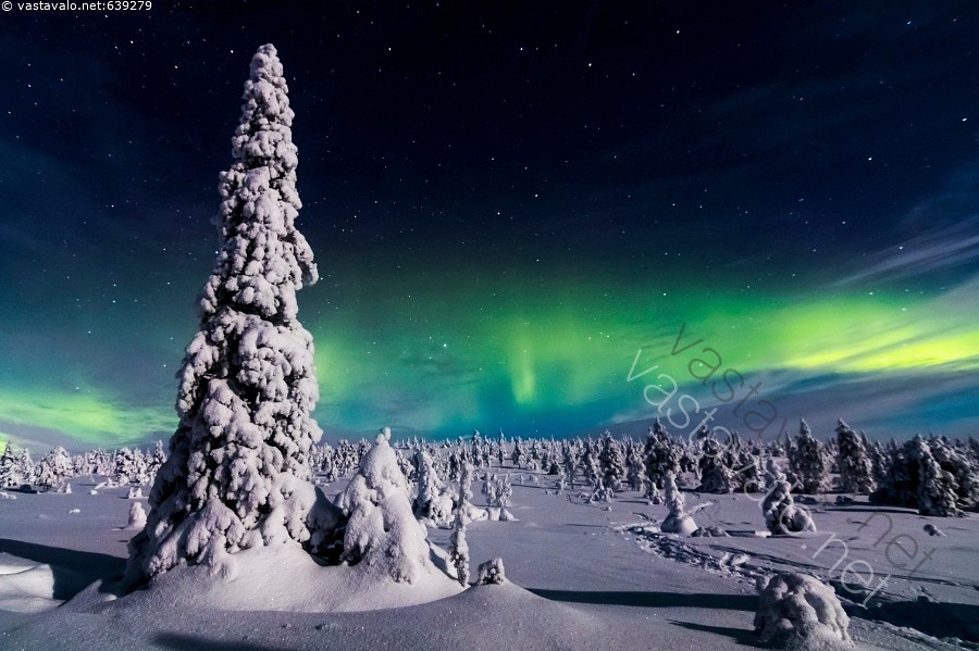 Kuva: Polku tykkylumen keskellä - revontulet revontuli aurinkotuuli ...