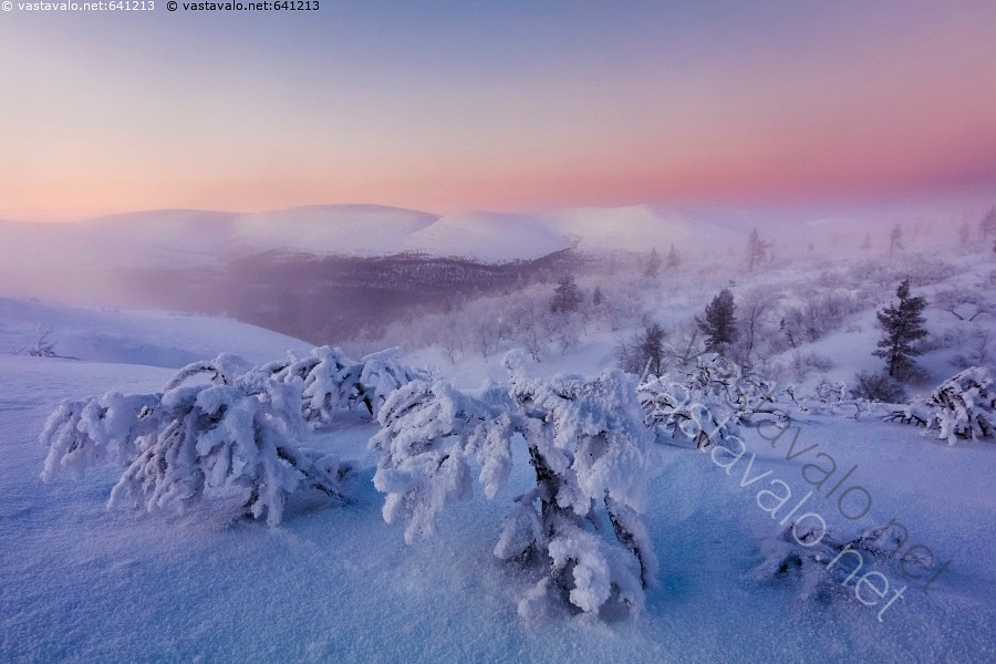 Kuva: Kaamosta tunturissa - Lappi tunturi lumi luminen hanki lumihanki ...