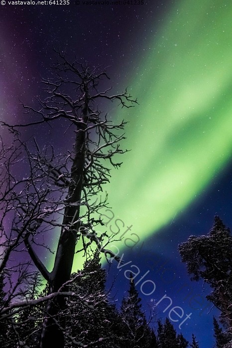 Kuva: Leiskuvat revontulet - revontulet revontuli aurinkotuuli talvi ...