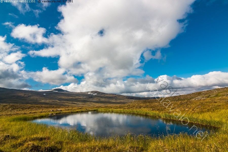 Kuva: Lammikko - lammikko lampi vesi pilvi tunturi heinikko kaislikko ...