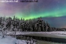 Kuva: Värien tanssi - revontulet revontuli vihreä metsä metsikkö puut ...