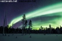 Kuva: Värien tanssi - revontulet revontuli vihreä metsä metsikkö puut ...