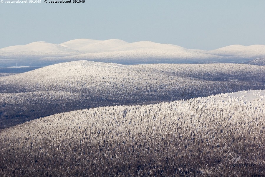 Kuva: Tunturit - tunturi tunturit talvi Lappi lumi luminen puut ylänkö ...