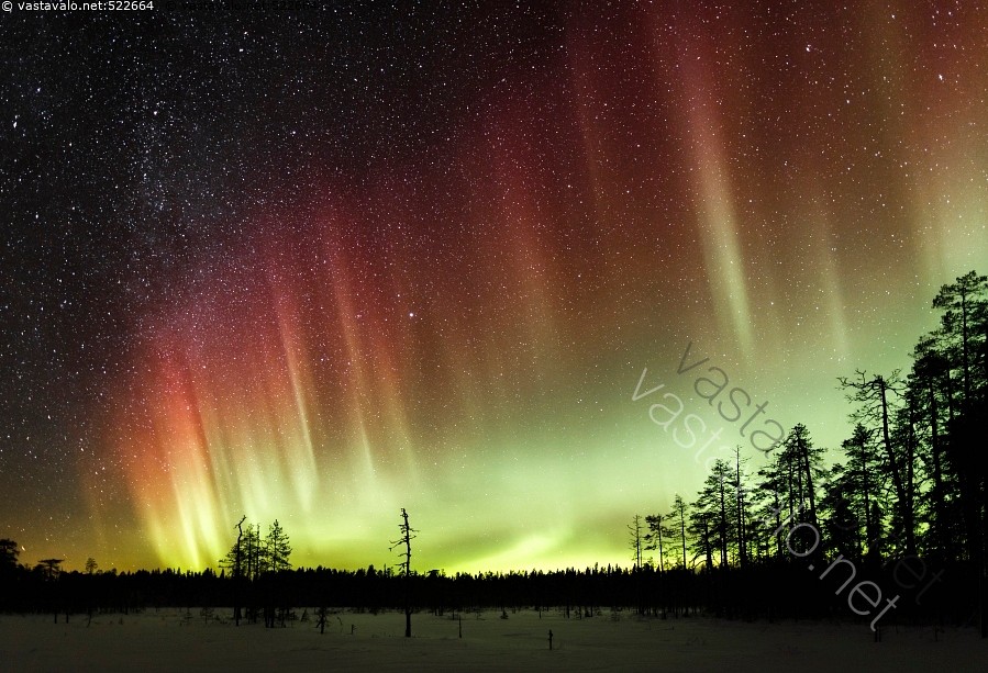 Kuva: Revontulet - revontulet värikäs voimakas yö tähdet talvi hanki ...