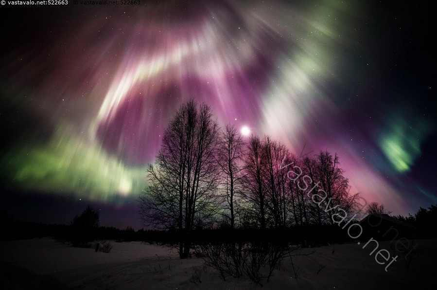 Kuva: Revontulet - revontulet revontulimyrsky kuu kuutamo lato koivikko ...