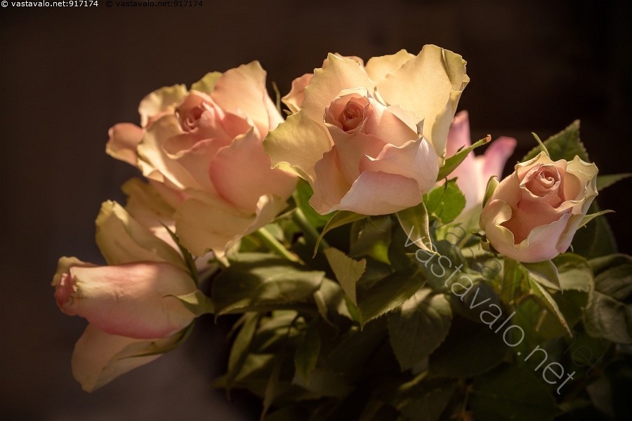 Kuva: Ruusukimppu - ruusu ruusunkukka kukka kukkakimppu ruusukimppu ...