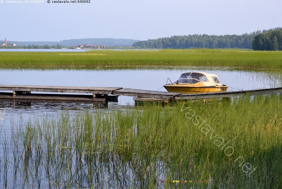 Kuva: Vene kaislikossa - vene moottorivene ranta kaislikko ...