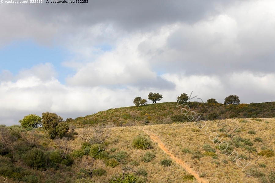 Kuva: Maisema - Espanja Marbella Andalusia mäki polku puut pensaat ...