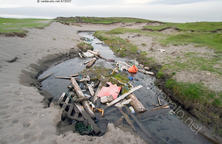 Kuva: Meren tuomaa rojua Barentsinmeren rannalla - Barentsinmeri ...
