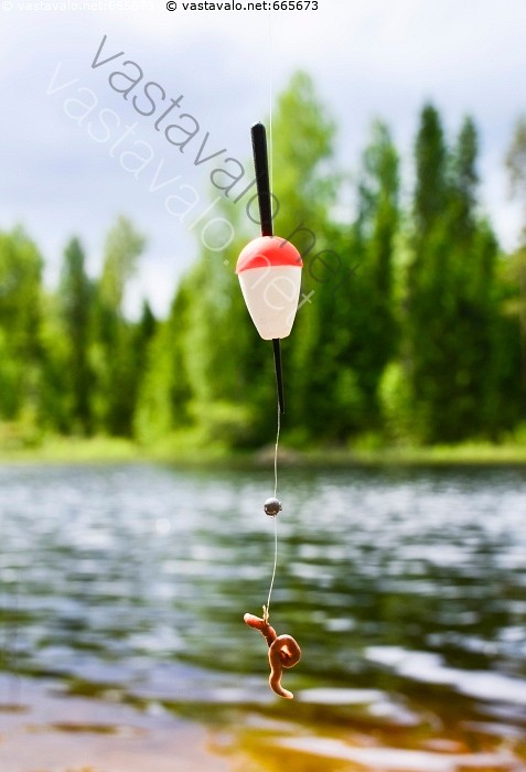 Kuva: Mato-onki - kesä kesäinen kalastus onki onginta onkia onkiminen ...