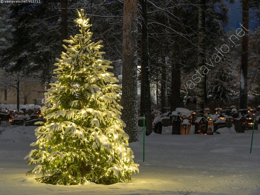 Kuva: Valaistu joulukuusi hautausmaalla - Joensuun hautausmaa Pohjois ...