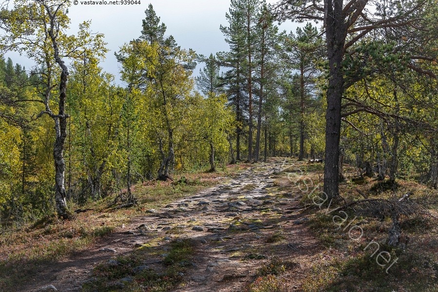 Kuva: Kivinen polku - vaellusreitti retkeilyreitti Inari Lappi ...