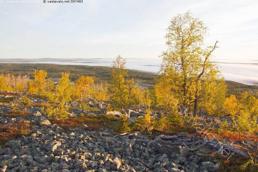 Kuva: Levitunturi - Levitunturi Levi tunturi Lappi ruska syksy sumu ...