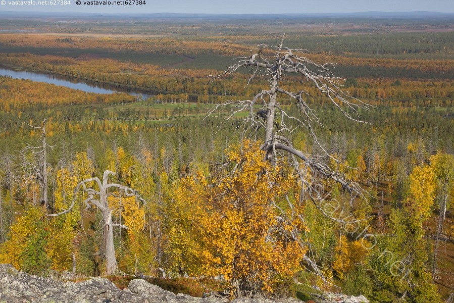 Kuva: Levitunturi - Levitunturi Utsuvaara ruska rakka kivikko kelo ...