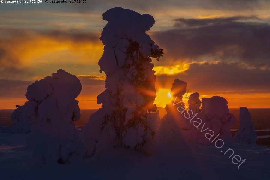 Kuva: Levitunturi - Levitunturi tunturi Lappi auringonlasku talvi lumi ...