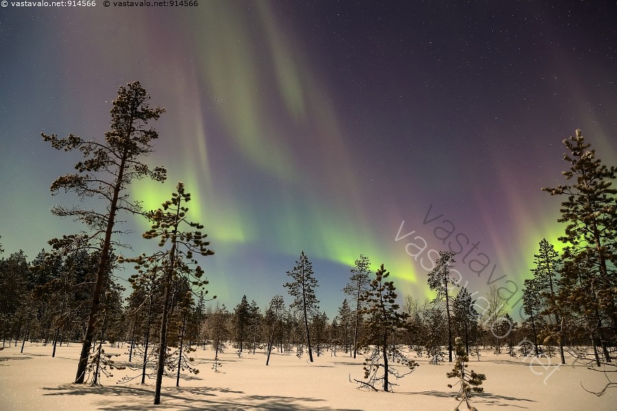 Kuva: Revontulet - revontulet reposet Aurora borealis revontuli ...