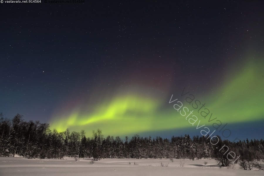 Kuva: Revontulet - revontulet reposet Aurora borealis revontuli ...