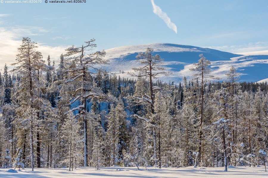 Kuva: Talvinen tunturimaisema - tunturi Äkäslompolo metsä lumi talvi ...