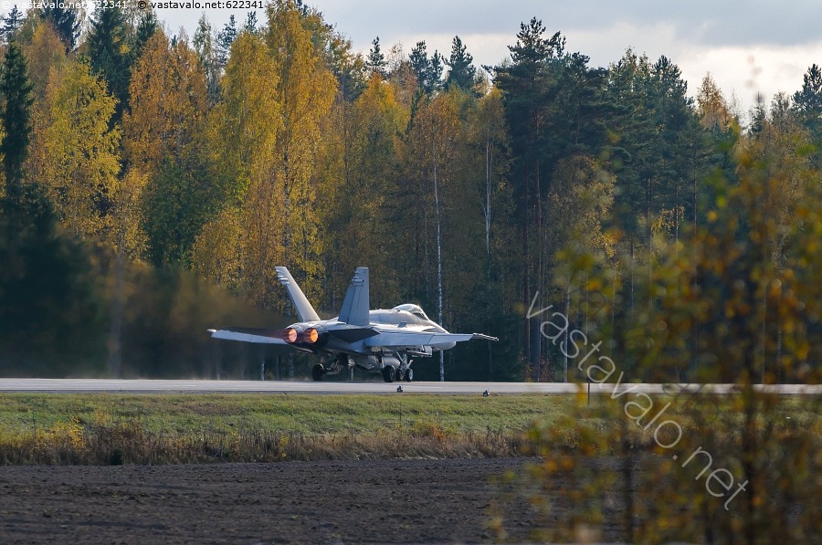 Kuva: Hornetin lähtö - F/A-18 hornet hornetti lentokone Lusi ilmavoimat ...