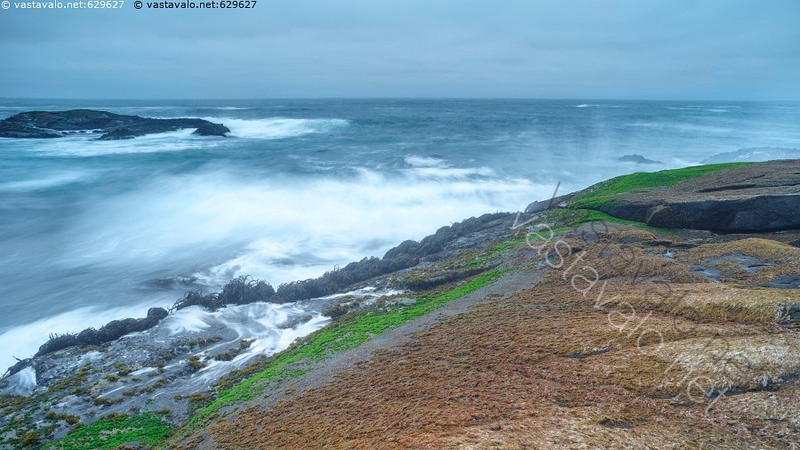 Kuva: Ilta luodolla - meri valtameri Tyynimeri vesi saari aalto taivas ...
