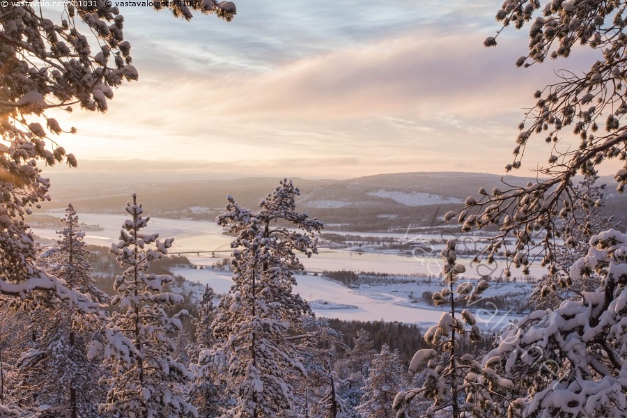 Kuva: Aavasaksa - maisema Lappi aurinko talvi luonto vaara metsä taivas ...