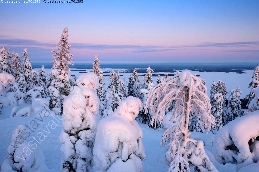 Kuva: Talvimaisema Kolilta - Koli kansallispuisto talvi vaaramaisema ...