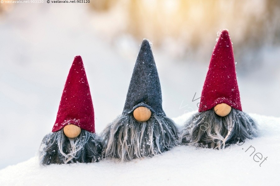 Kuva: Kolme tonttua lumihangessa - tonttu tontut kolme tonttua tonttuja ...