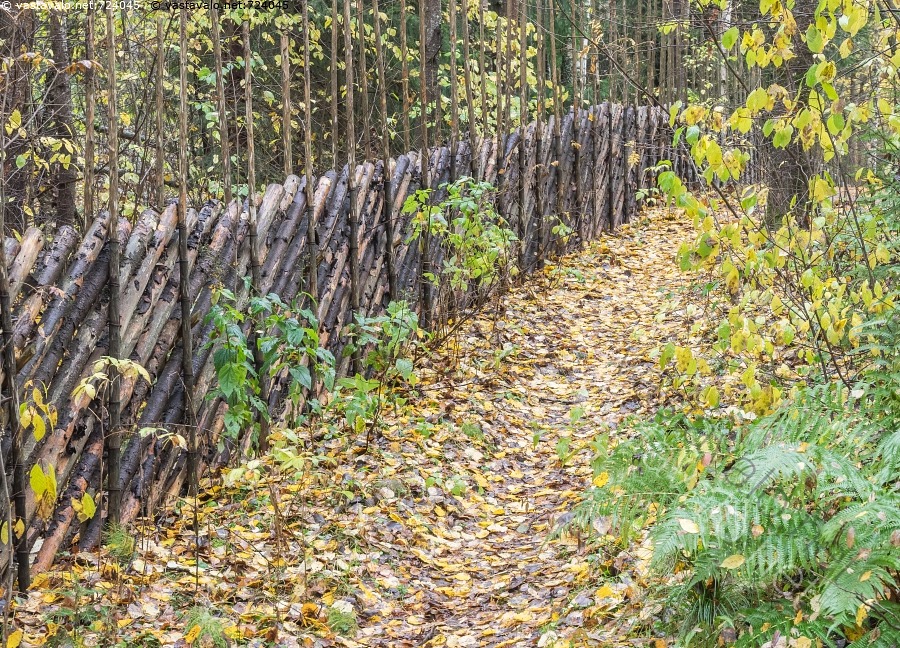 Kuva: Perinneaita - maisema luonnonsuojelualue metsä polku pisteaita ...