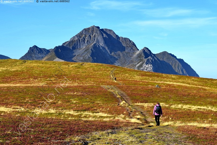 Kuva: Ruskaretki - ruska retki polku syksy vuoristo Norja Lofootit ...