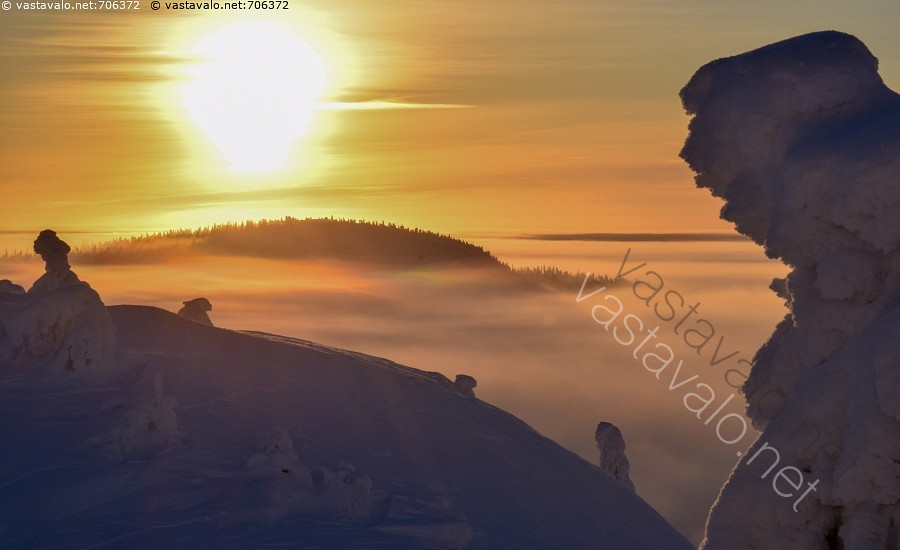 Kuva: Auringon valoa - aurinko talvi maisema luonto tykky puu vaara ...