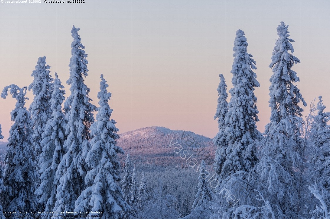 Kuva: Vaaramaisema - vaara maisema luonto talvi lumi puu puut kuusi ...
